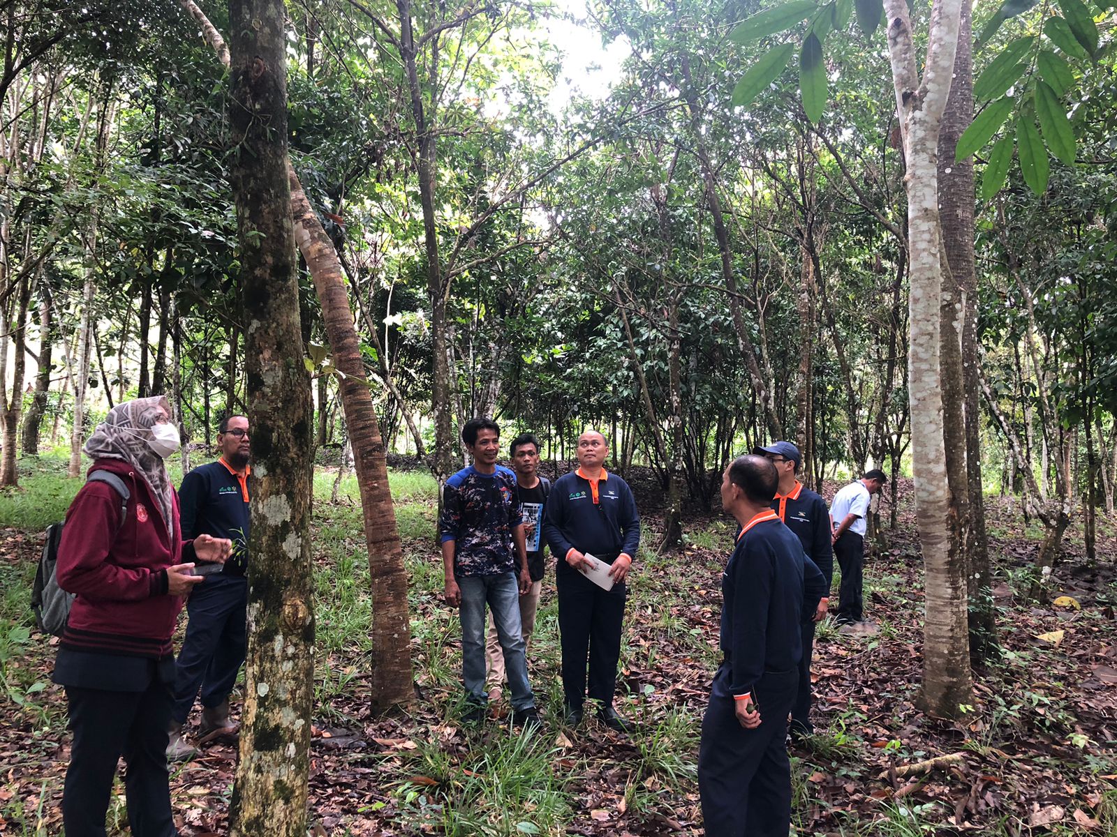 Kunjungan Tim Kehati PT TEL ke Taman Kehati Bedegung: Menjaga ...