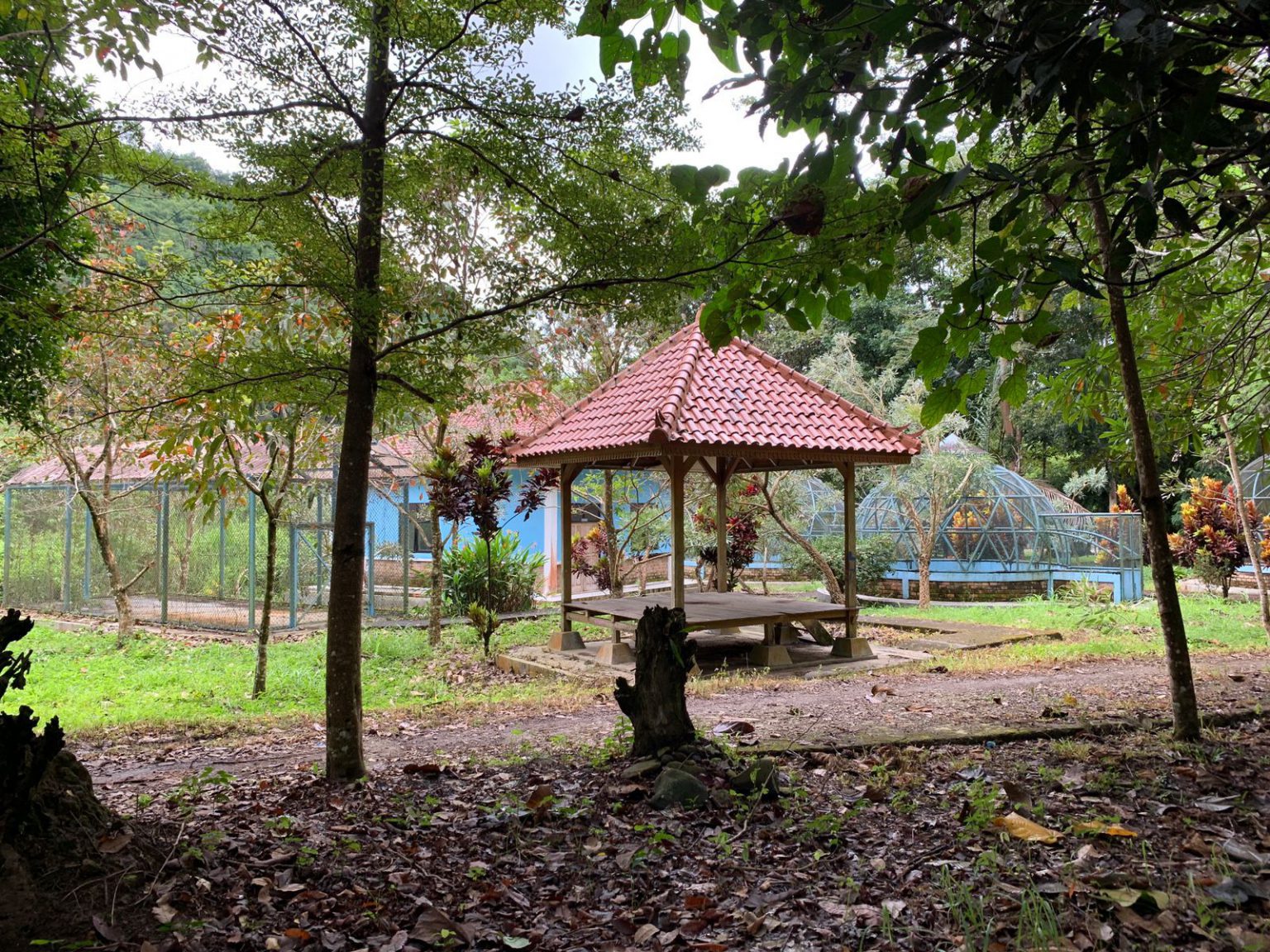 Kunjungan Tim Kehati PT TEL ke Taman Kehati Bedegung: Menjaga ...