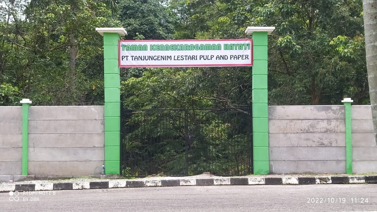 About Us – Kehati – PT Tanjungenim Lestari Pulp and Paper