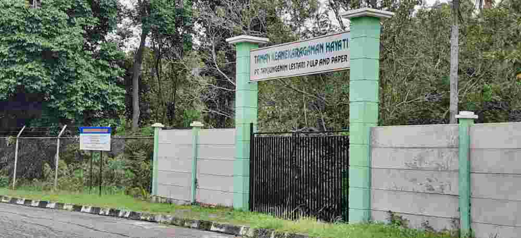 Mengenal Taman Keanekeragaman Hayati PT. Tanjungenim Lestari Pulp and ...