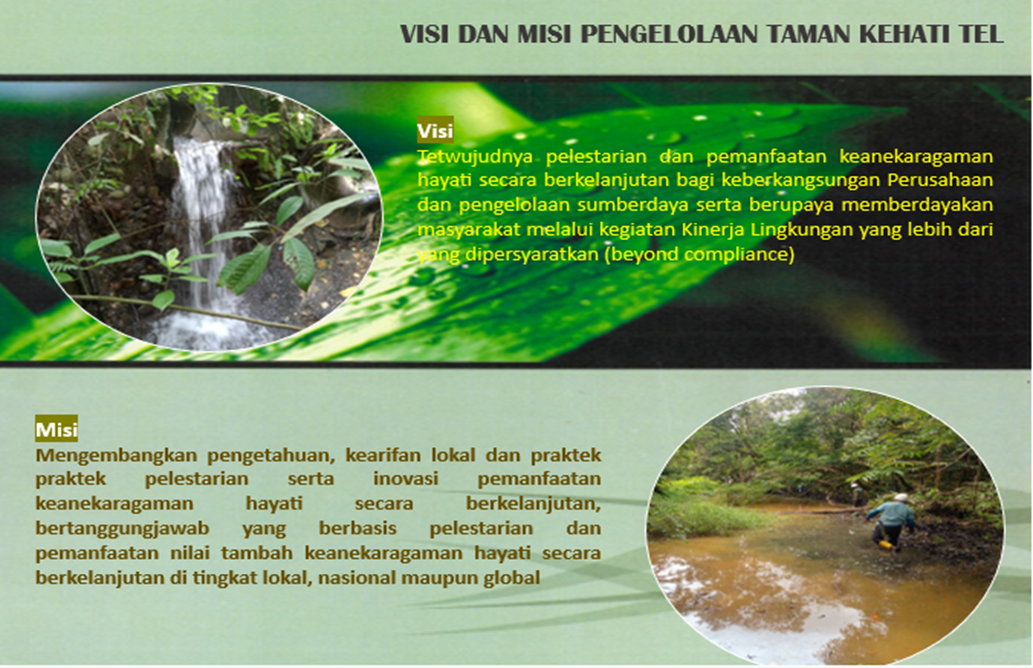 Mengenal Taman Keanekeragaman Hayati PT. Tanjungenim Lestari Pulp and ...